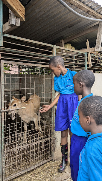 Namagunga Primary School - Kitende - Campus
